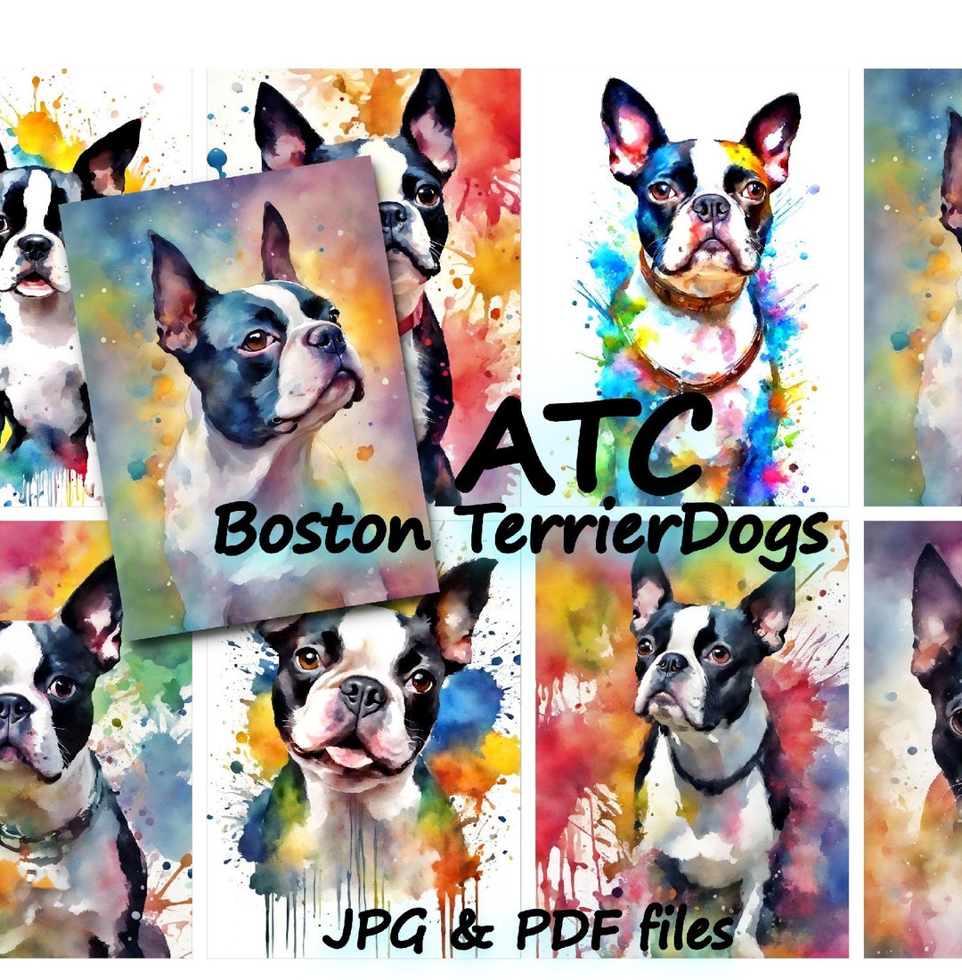 ATC Boston Terrier Dogs Watercolor Splash Style Printable Digital ...