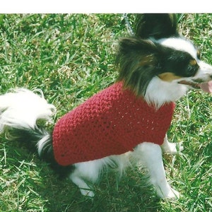 Pet Sweater, Red Dog Sweater, Extra Small Dog Sweater, Small Dog ...