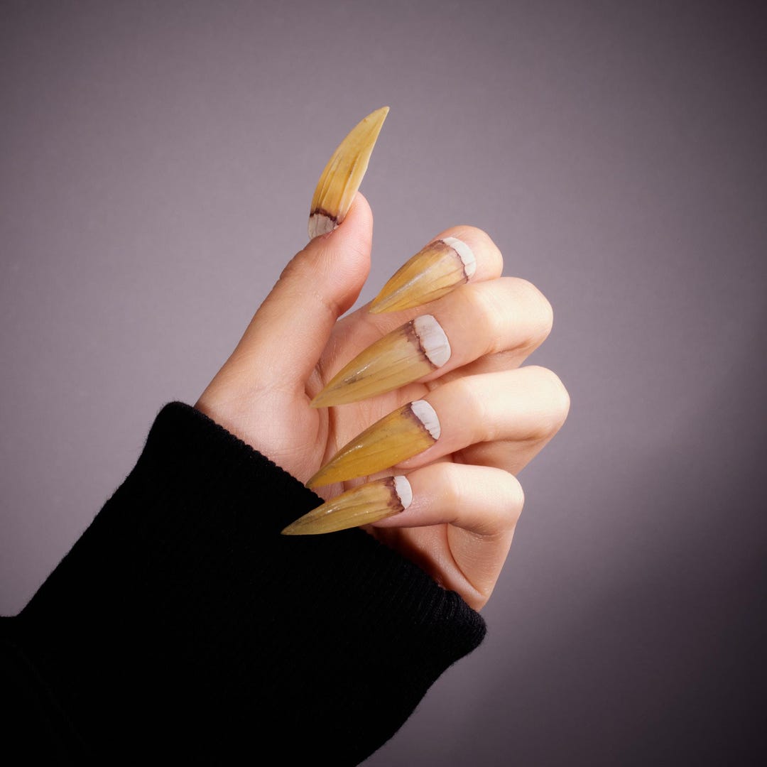 Long Curved Dragon Claw Press-on Nails | 3D Monster Talons | Reusable ...