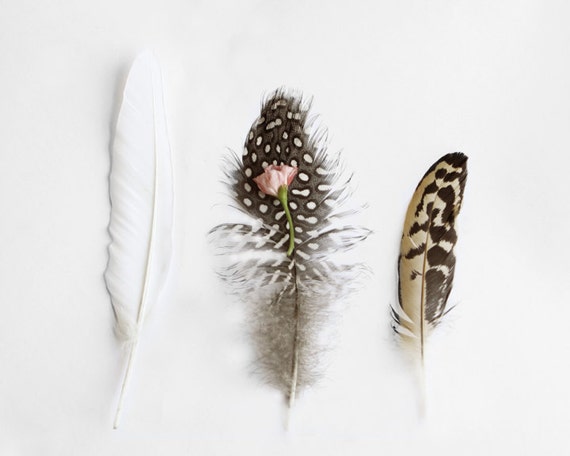 Scanned Feather Photography