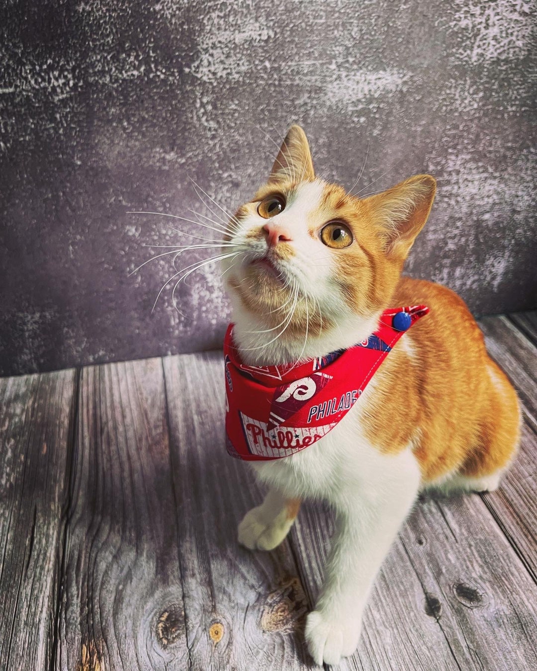 Philadelphia Phillies Cat / Kitten Bandana, 4 Fabrics to Choose From ...