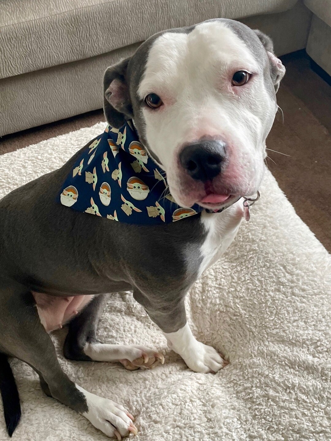 Baby Yoda, Grogu Dog Bandana, the Child, Mandalorian, Snaps on & Off ...