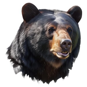 Black Bear Clipart | Majestic Black Bear Clipart Bundle | 10 High ...
