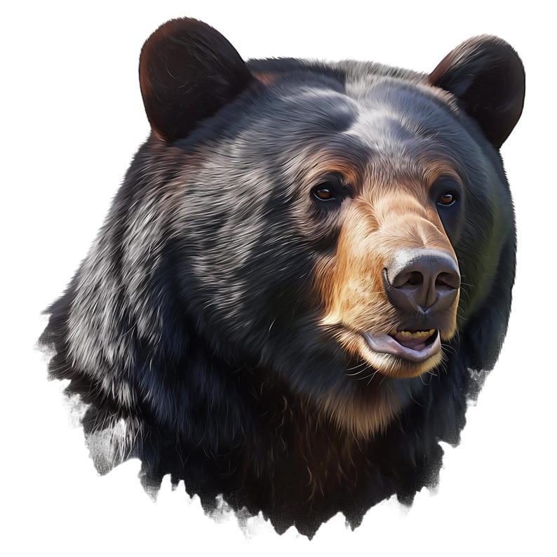 Black Bear Clipart | Majestic Black Bear Clipart Bundle | 10 High ...