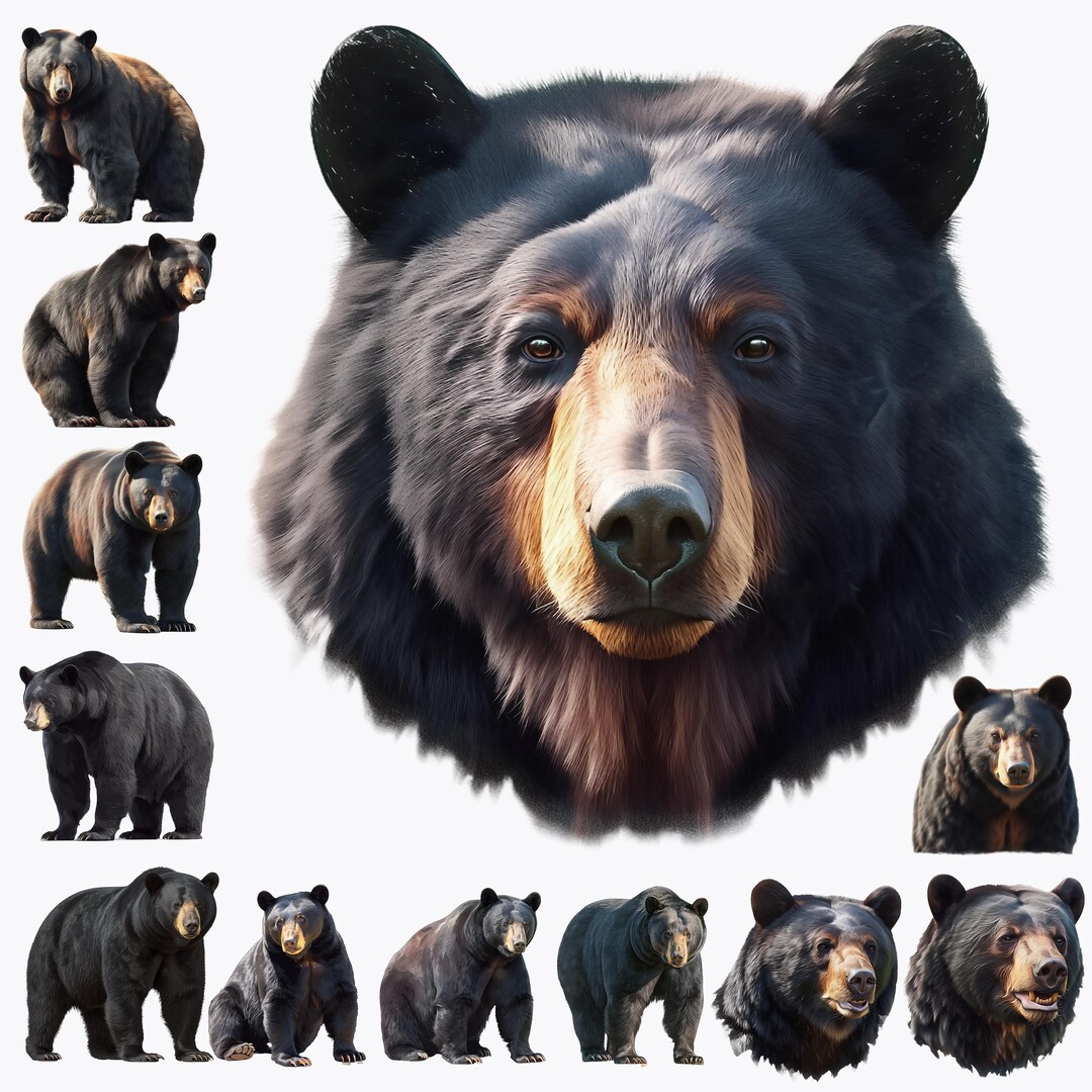 Black Bear Clipart | Majestic Black Bear Clipart Bundle | 10 High ...