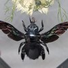 Large Iridescent Carpenter Bee Speciman Display - Etsy