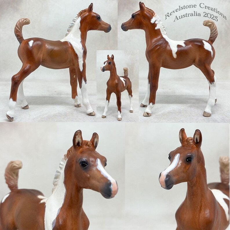 Collecta Arabian Foal Custom Painted Pinto Revelstone Creations - Etsy