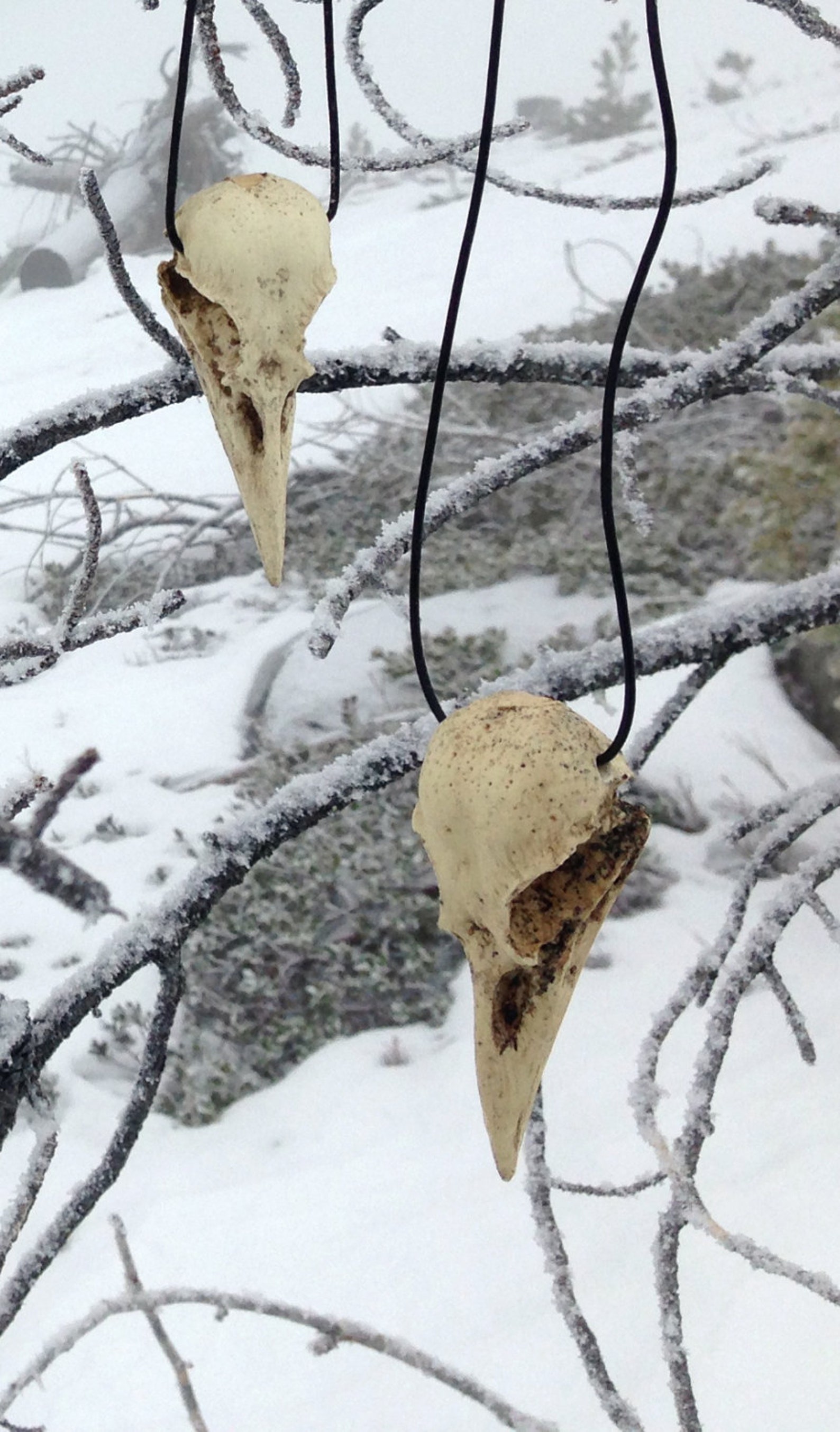 Crow Skull Pendant - Etsy