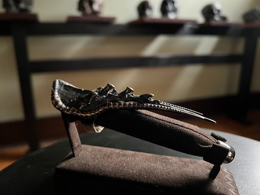 Bronze Cryptid Ring Size 9 - Etsy