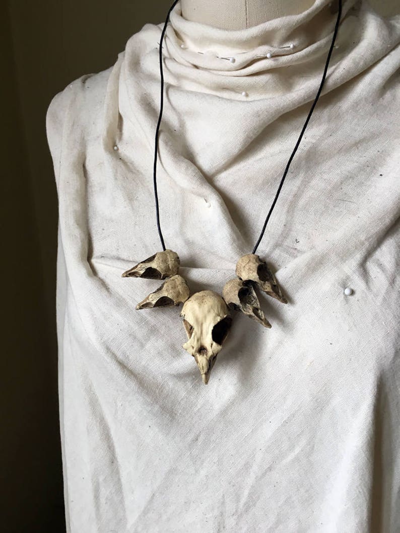 Hawk Skull Trophy Necklace - Etsy