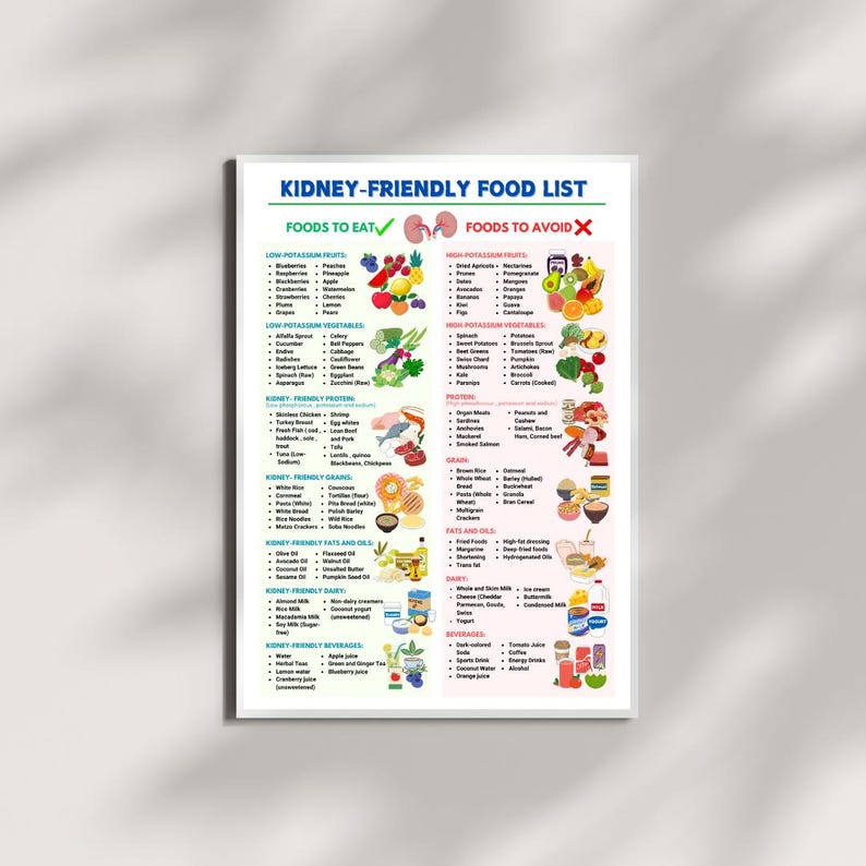 Kidney-friendly Food List Poster: Renal Diet Guide (PDF, JPG) - Etsy