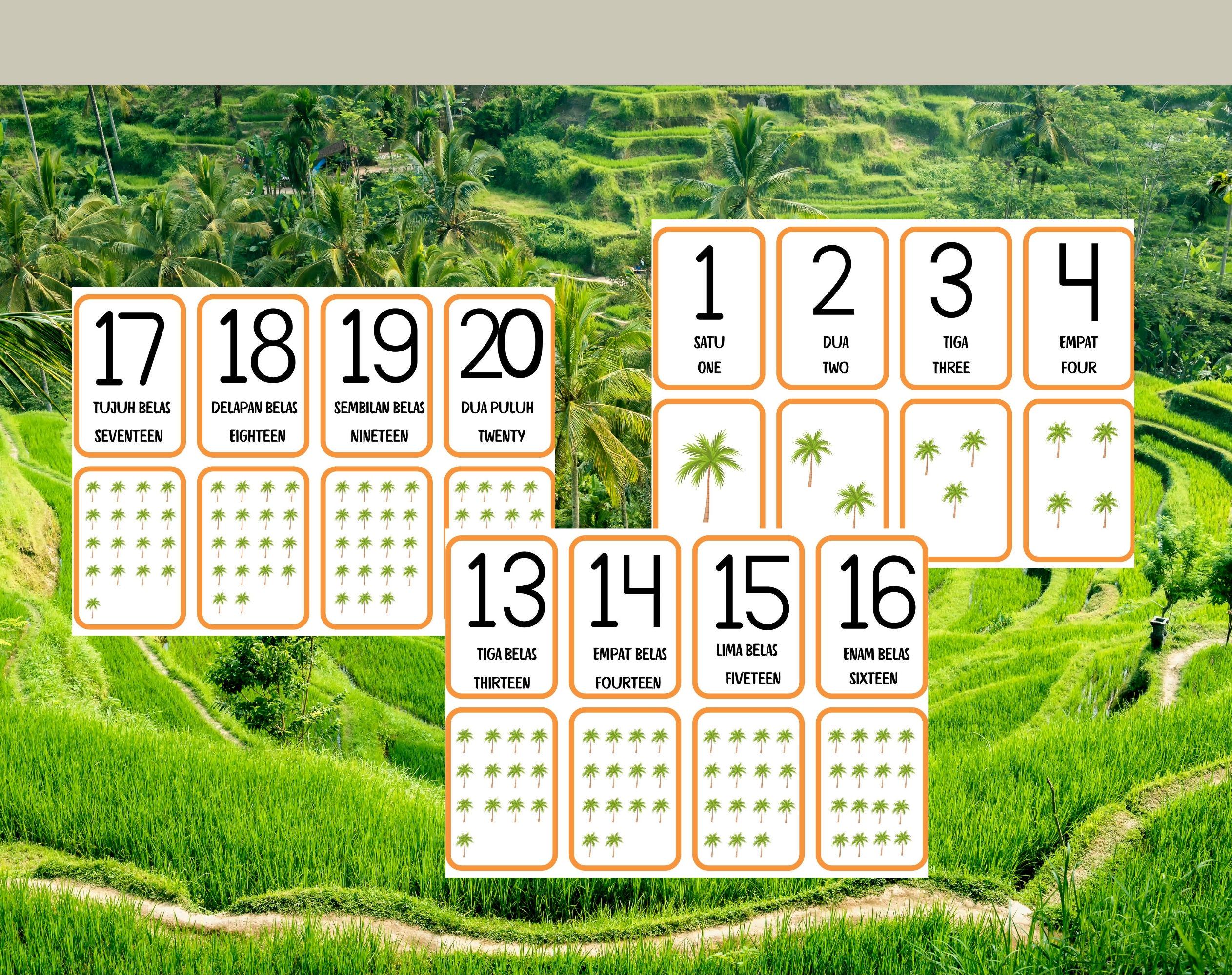 Printable Indonesian Flashcards - Montessori Learning - Digital ...