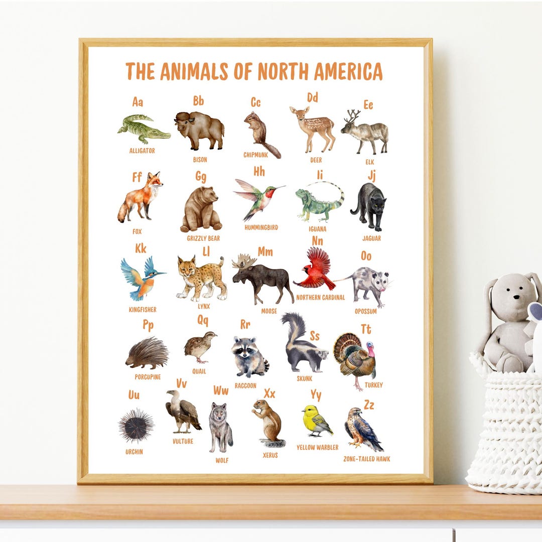 Watercolor Animal Alphabet Poster: North American Wildlife Nursery Art ...