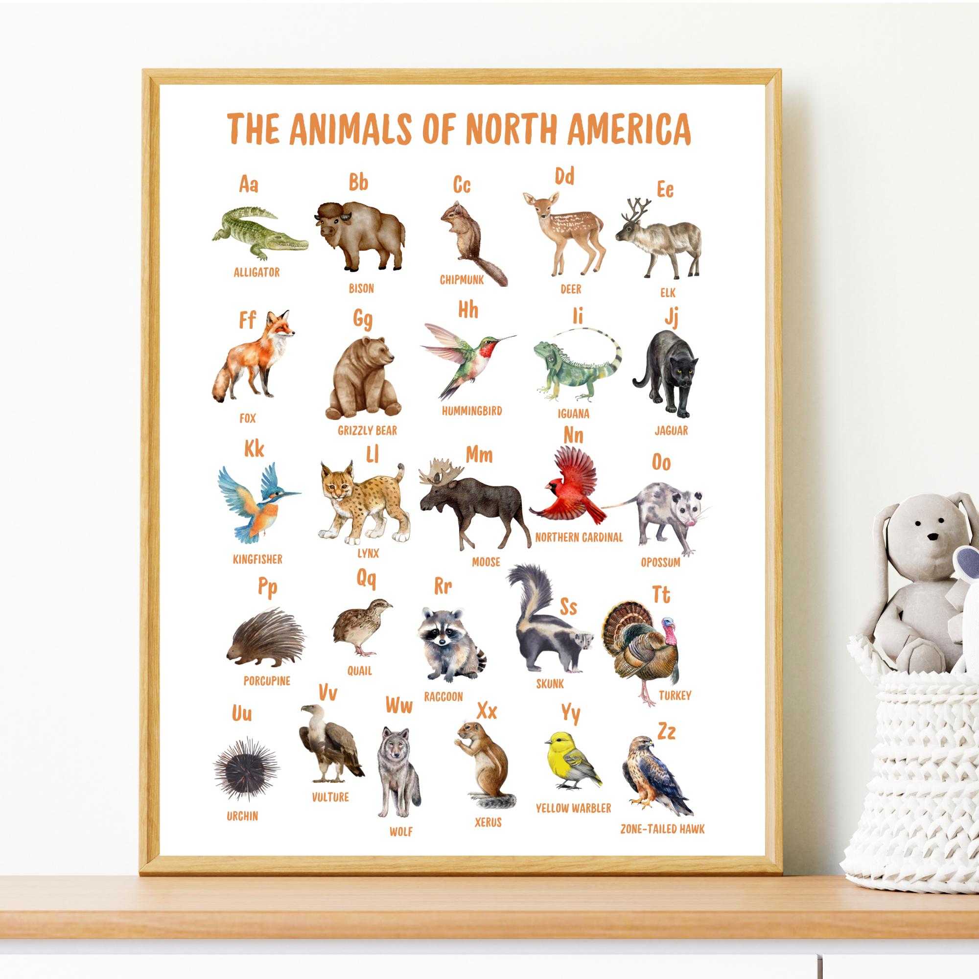 Watercolor Animal Alphabet Poster: North American Wildlife Nursery Art ...