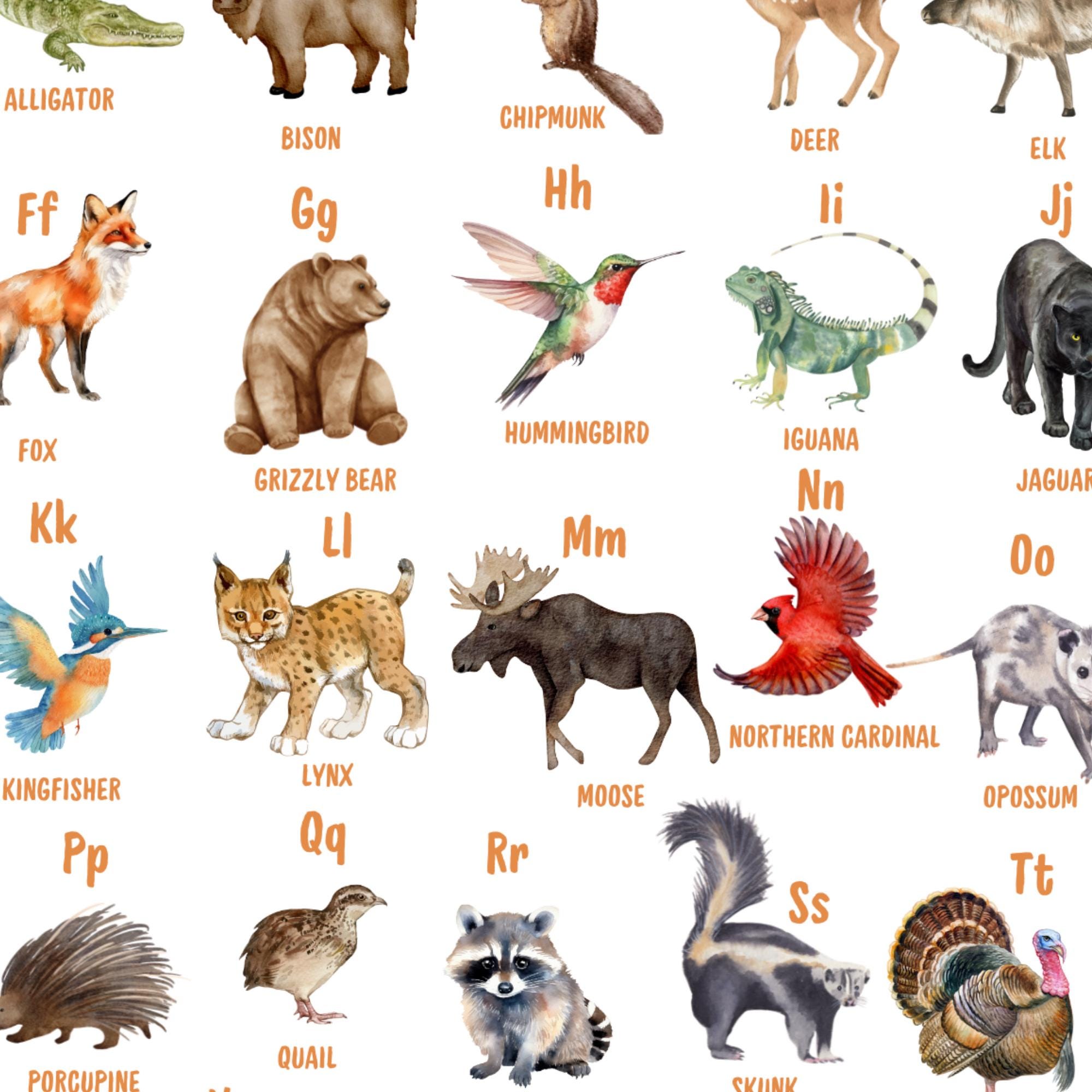 Watercolor Animal Alphabet Poster: North American Wildlife Nursery Art ...