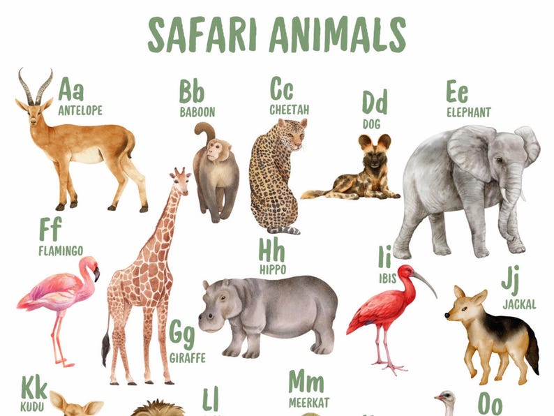 Safari Animal Alphabet Poster: Jungle ABC Nursery Art (digital Download ...