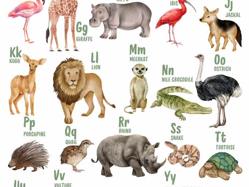 Safari Animal Alphabet Poster: Jungle ABC Nursery Art (digital Download ...