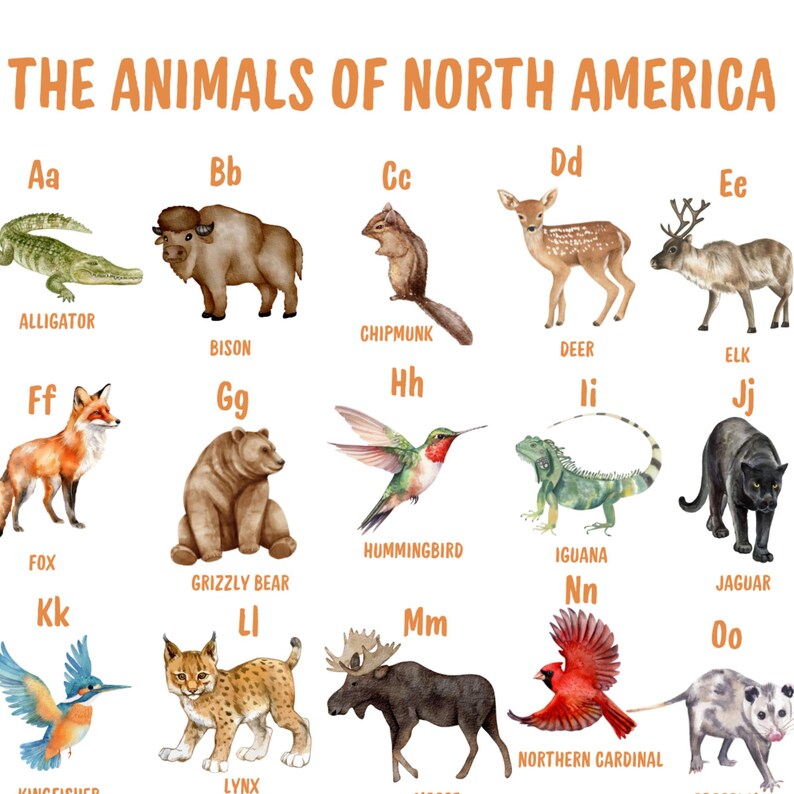 Watercolor Animal Alphabet Poster: North American Wildlife Nursery Art ...