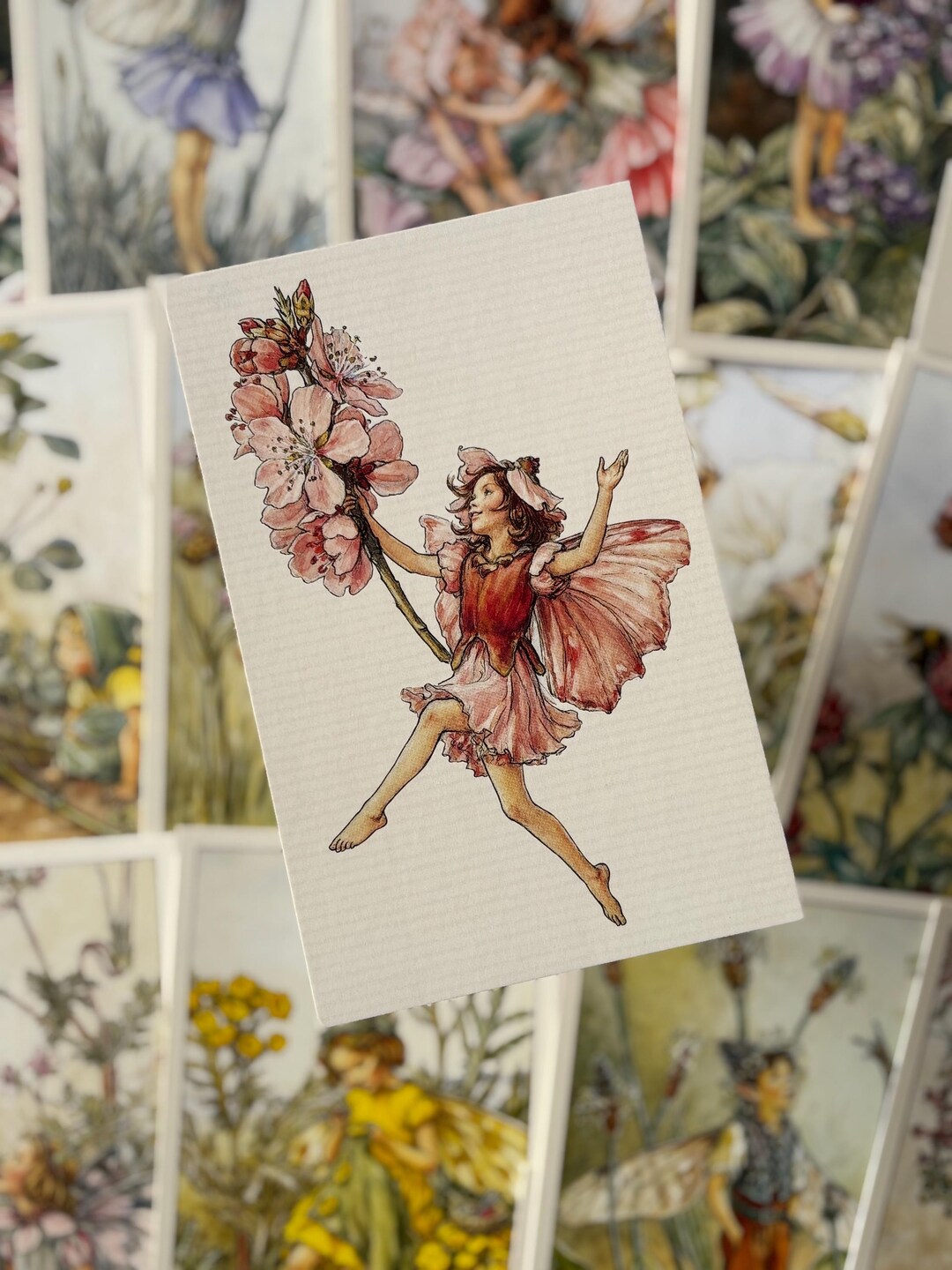 Flower Fairies of the Trees & Garden Postcards: Vintage Style Fairy Art ...