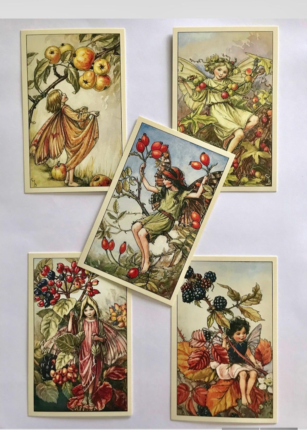 Flower Fairies Postcard Set: Autumn/winter Vintage Style Fairy Art ...