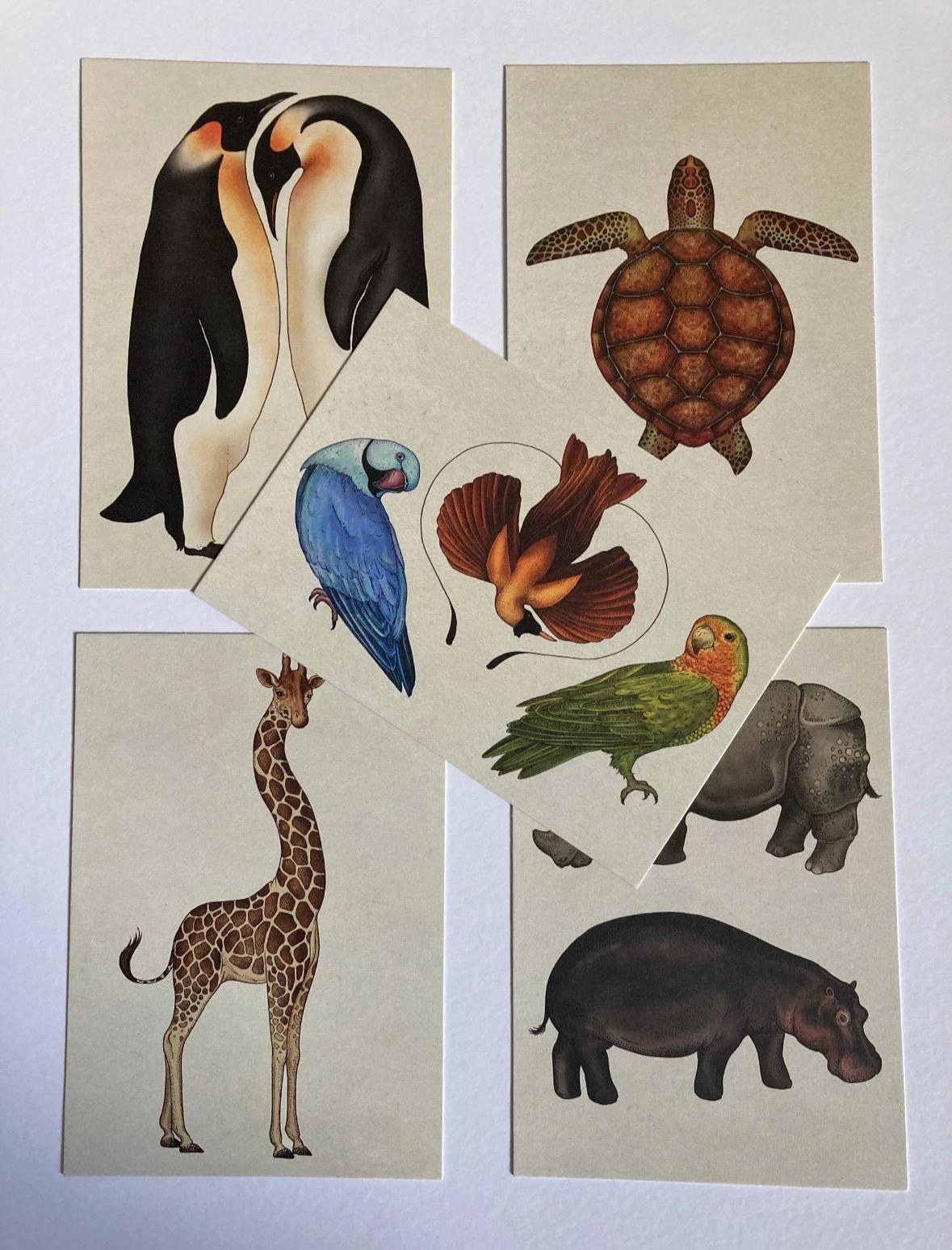 Animalium Postcards: Collectible Animal Museum Art Prints - LUCKY DIP ...