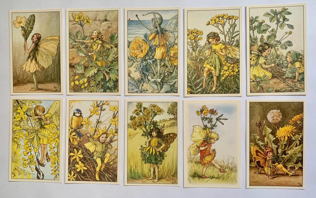 10 X Flower Fairies Postcards: the Yellow Collection| Illustrated ...