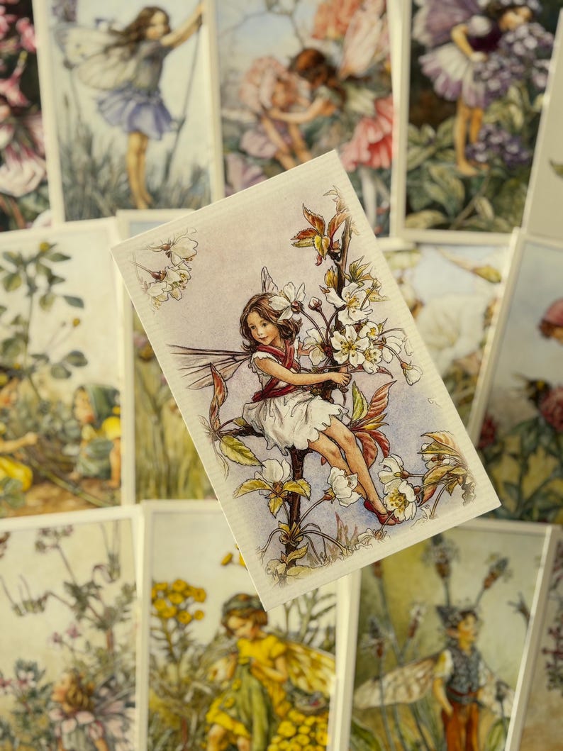 Flower Fairies of the Trees & Garden Postcards: Vintage Style Fairy Art ...