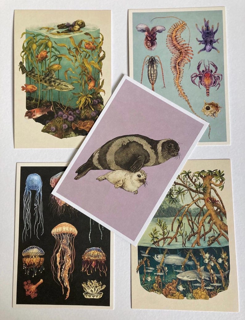 Oceanarium Postcards: Collectible Sealife Art Prints - LUCKY DIP! - Etsy