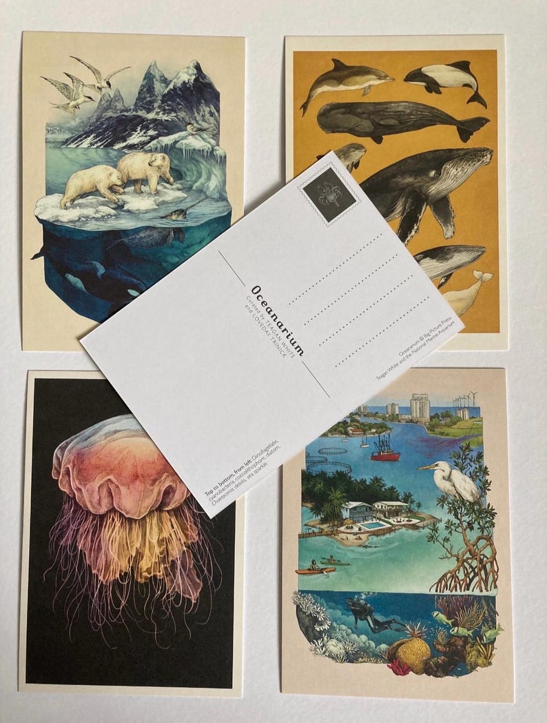 Oceanarium Postcards: Collectible Sealife Art Prints - LUCKY DIP! - Etsy