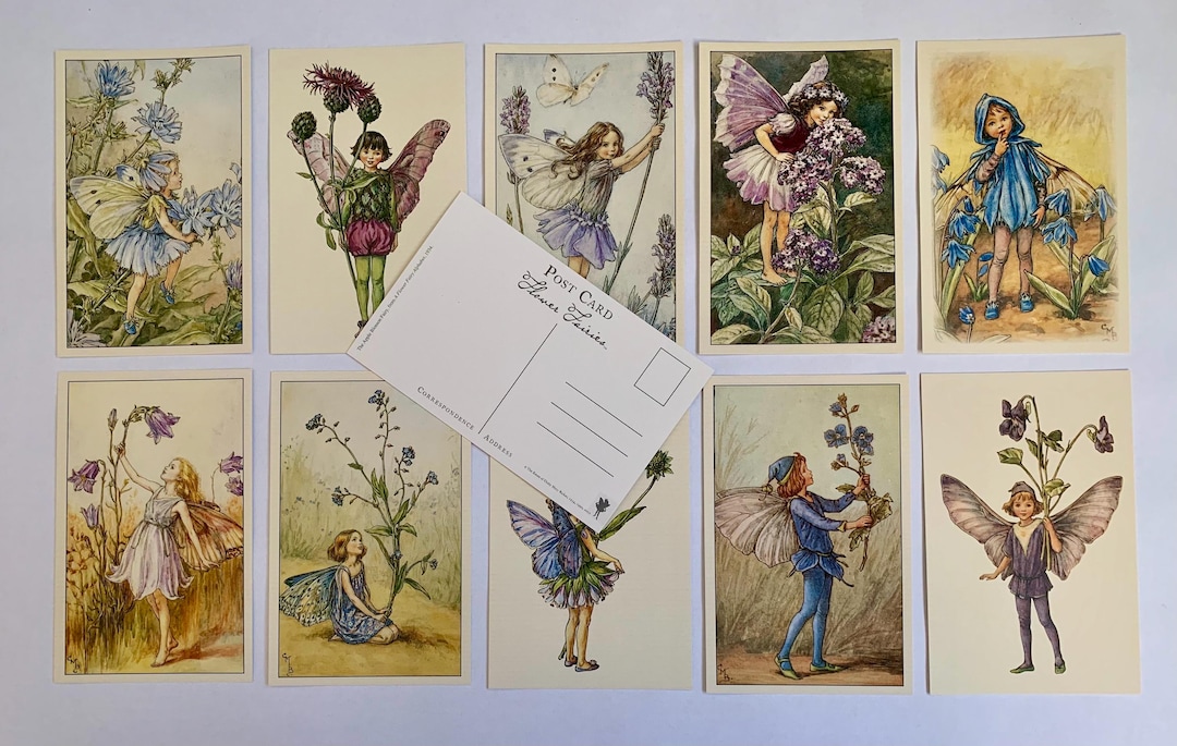Flower Fairies Postcards: the Purple/blue Collection - Fairy Art Prints ...