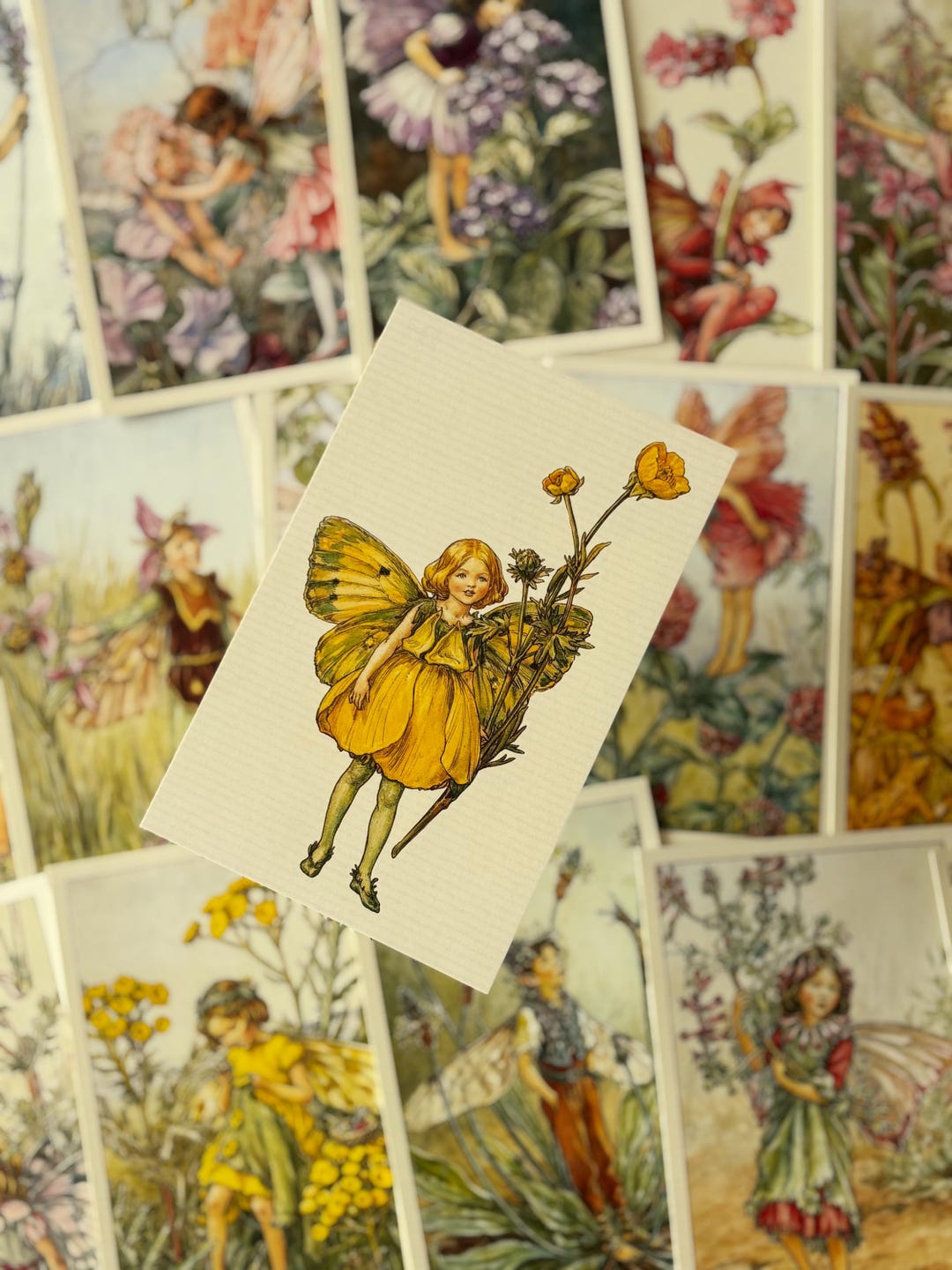 Flower Fairies of the Summer Postcards: Vintage Style Fairy Art Prints ...