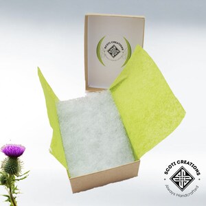 Clan Macgillivray Badge, Scottish Clan, Highland Clan, Chattan ...