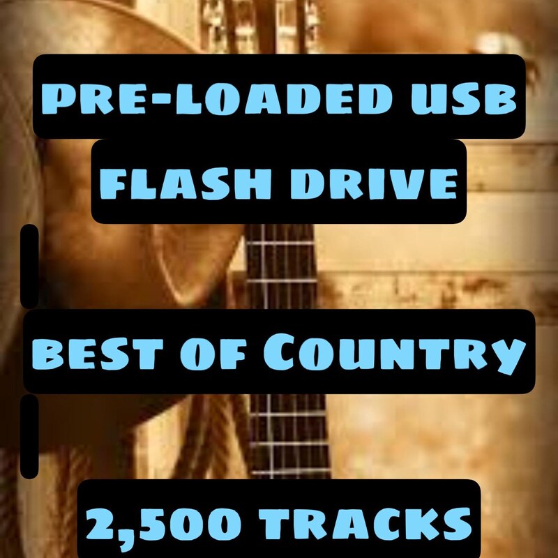 Flash Drive Pre Loaded With Music - Etsy