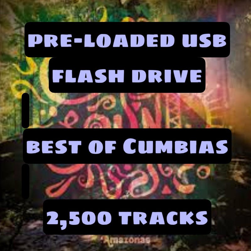 Flash Drive Pre Loaded With Music - Etsy