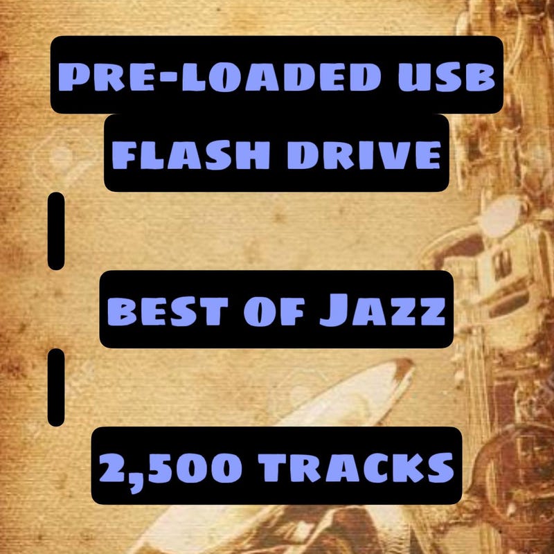 Flash Drive Pre Loaded With Music - Etsy