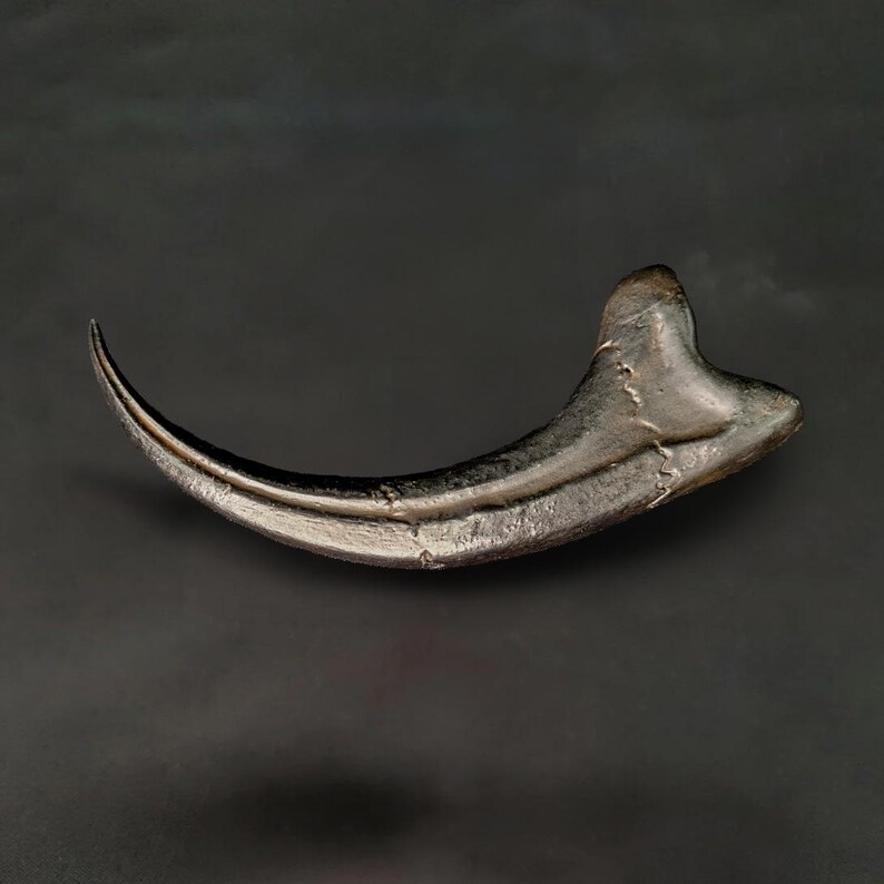 Raptor Claw Replica Realistic Dinosaur Fossil Model Velociraptor Fossil ...