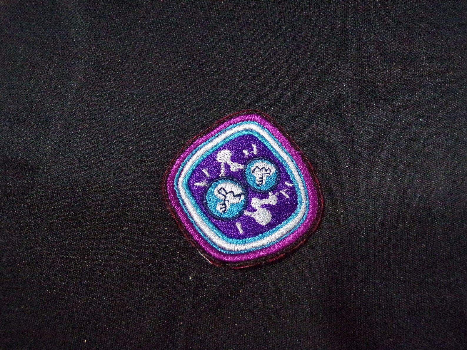 MADE TO ORDER Psychonauts 2 Merit Retro Gaming Badge Patch - Etsy