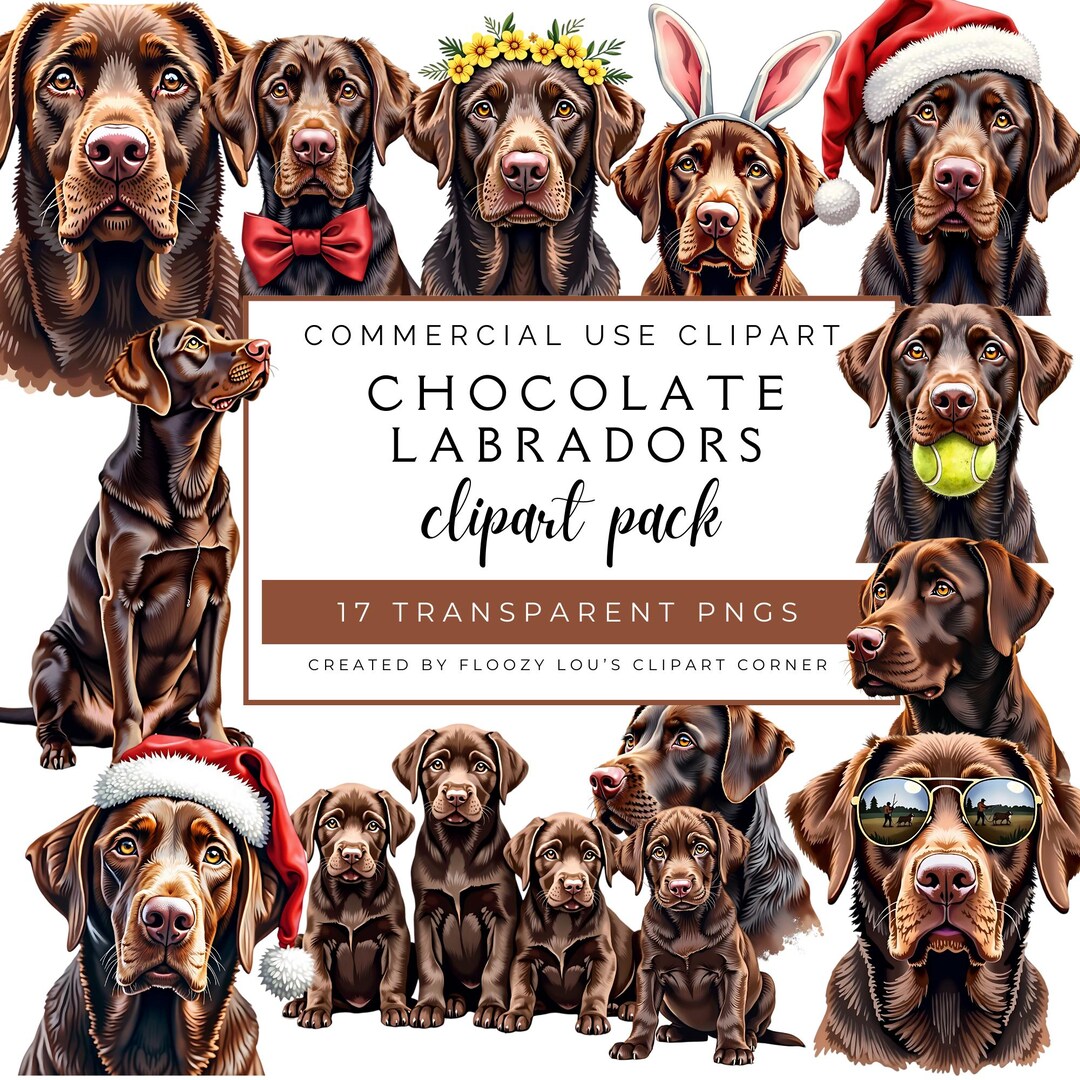 Chocolate Labrador Clipart Bundle - Dog Head Clipart Pack - Labrador ...