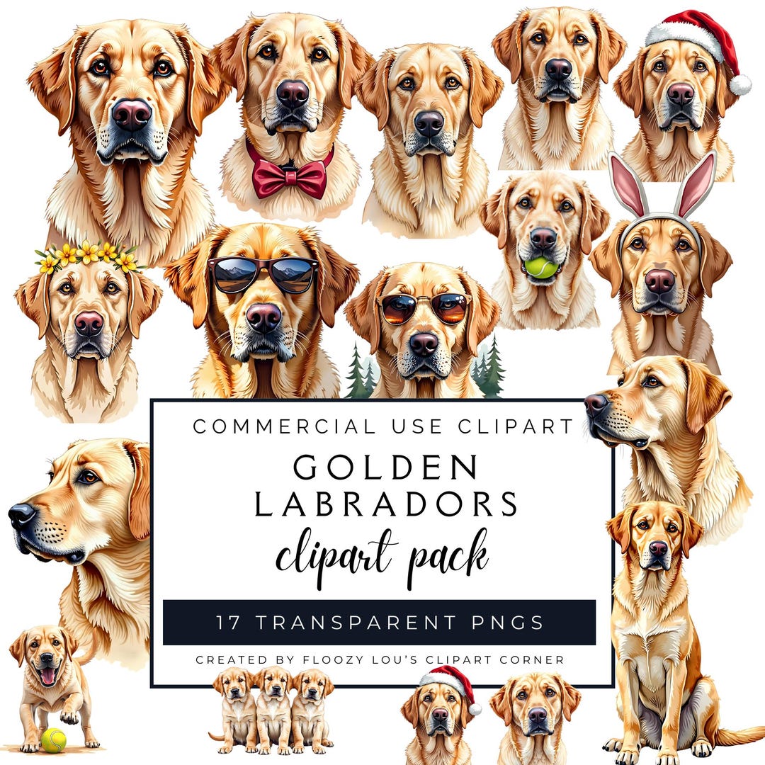 Golden Labrador Clipart Bundle - Dog Head Clipart Pack - Labrador Dog ...