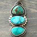 Color Totem Turquoise Pendant Royston Blue Moon Fox Turquoise in ...