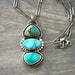 Color Totem Turquoise Pendant Royston Blue Moon Fox Turquoise in ...