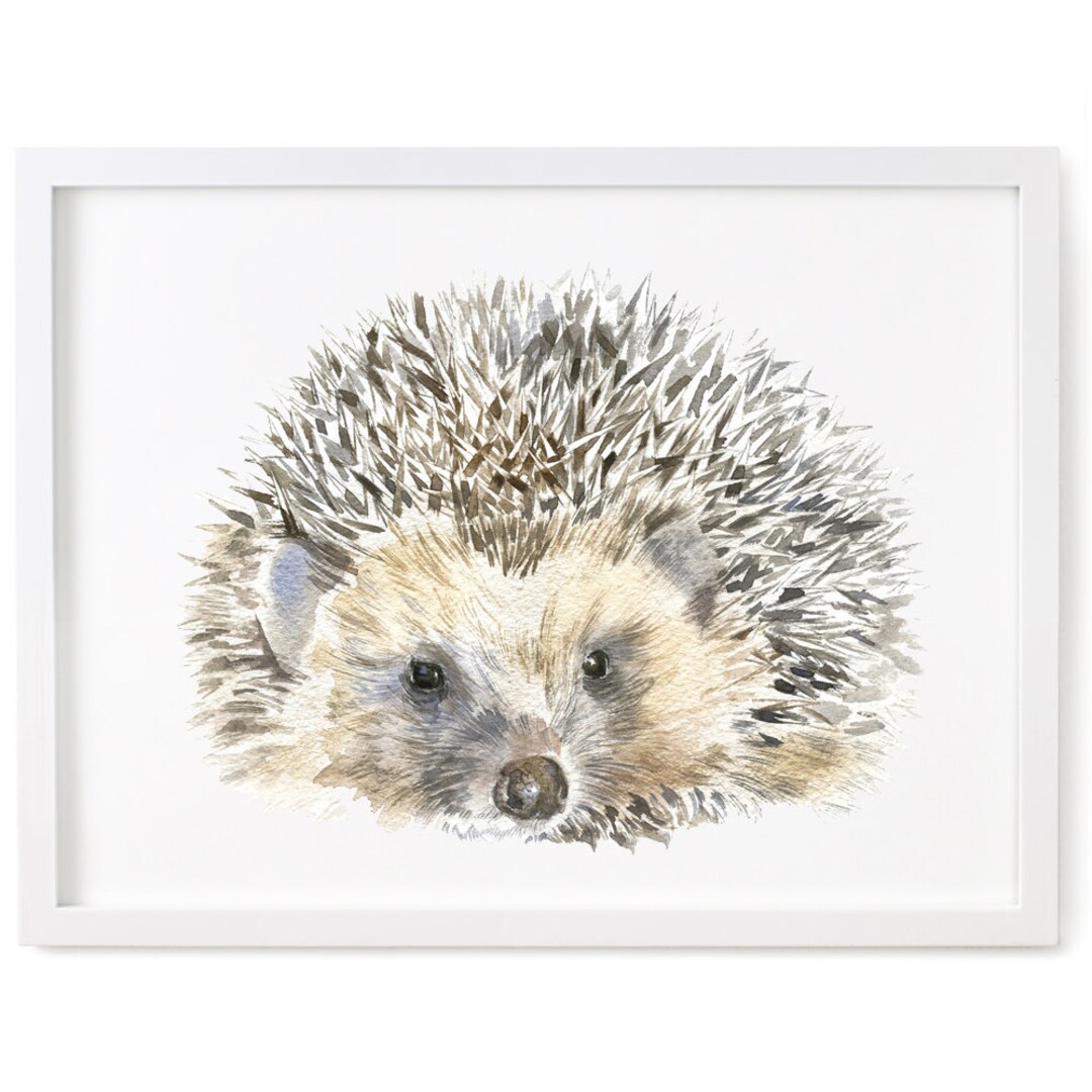 Igel Art Print, Aquarell Tier Giclee Print - Etsy.de
