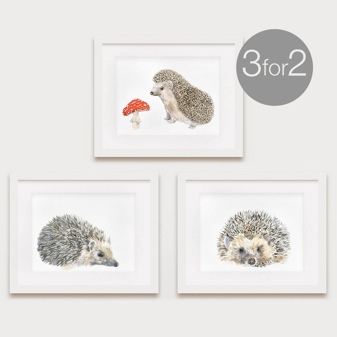 Watercolor Hedgehogs Prints Set, Giclee Fine Art 3 for the Price of 2 ...