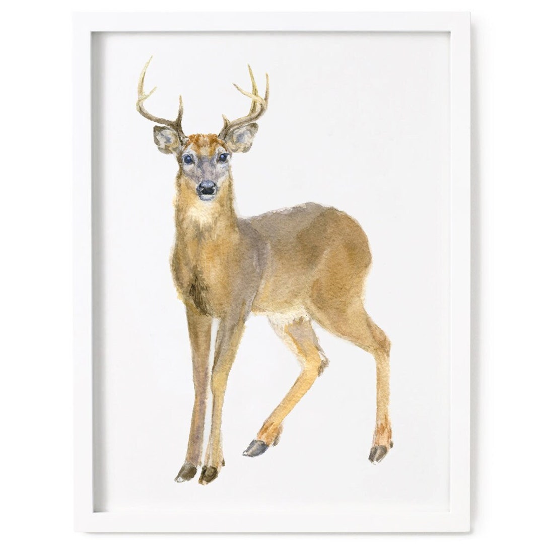 Watercolor Stag Deer Art Print - Etsy