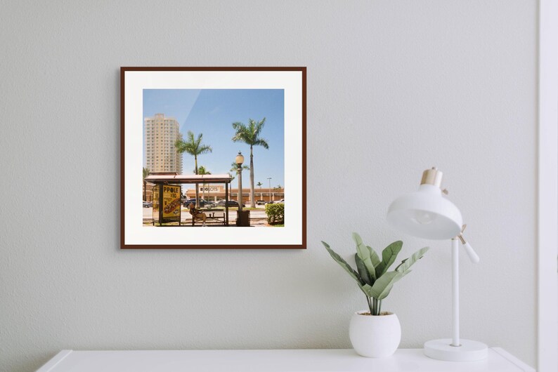 Miami Bus Stop Scene With Palm Trees & Blue Sky - Film Photography Wall ...