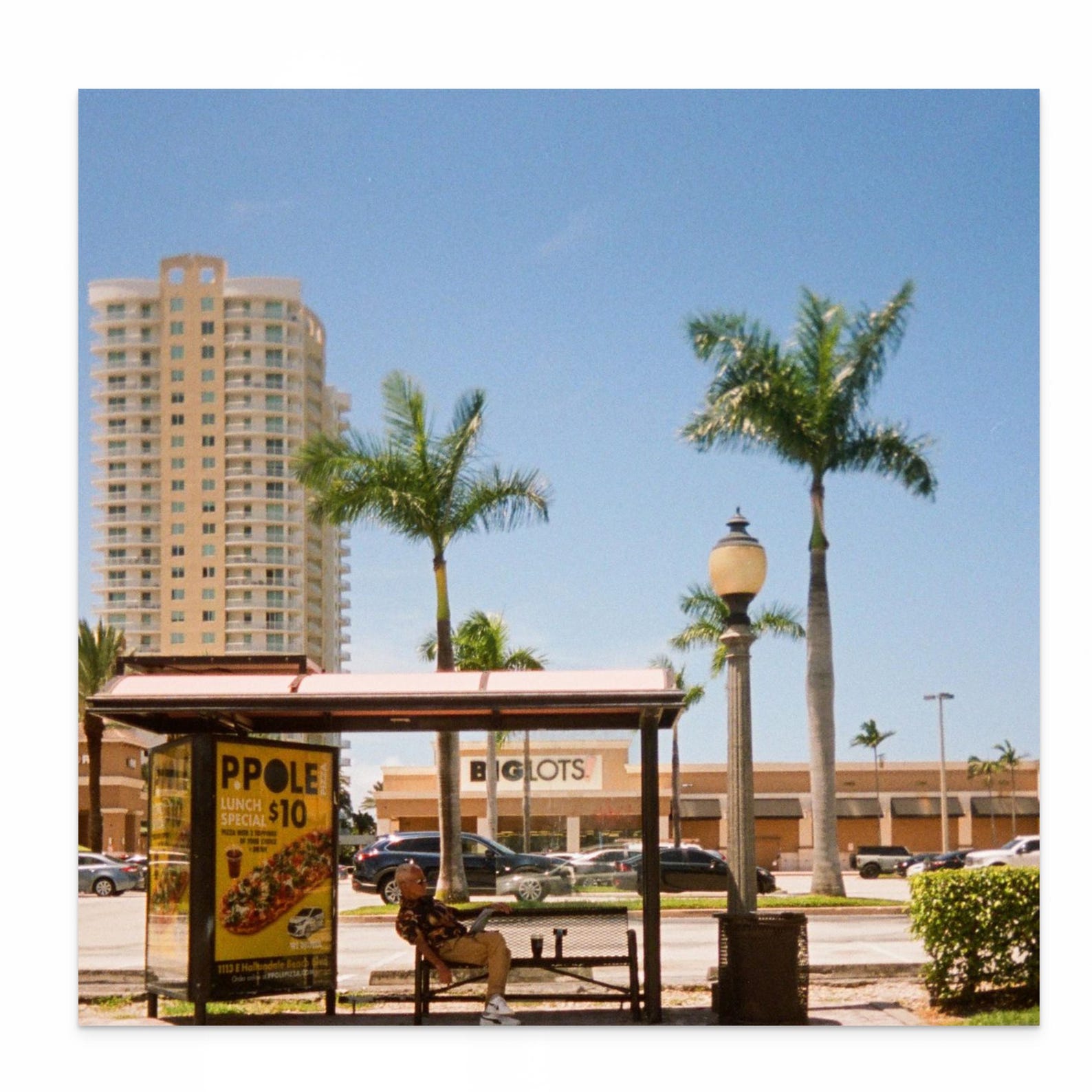 Miami Bus Stop Scene With Palm Trees & Blue Sky - Film Photography Wall ...