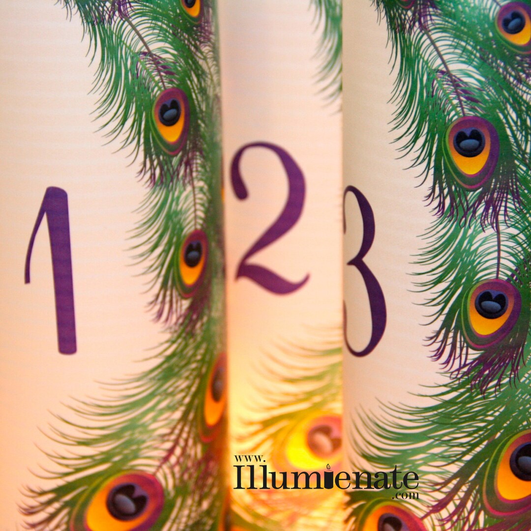 15 Peacock Luminary Table Numbers - 8.5 Inch - Centerpiece Wedding ...