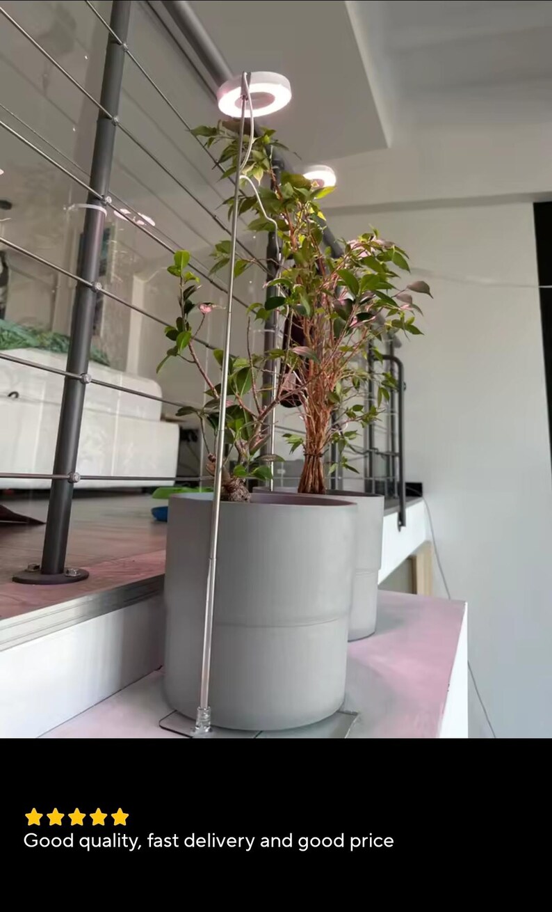 Telescopic LED Plant Light With Base, Timer & Dimmer - Etsy