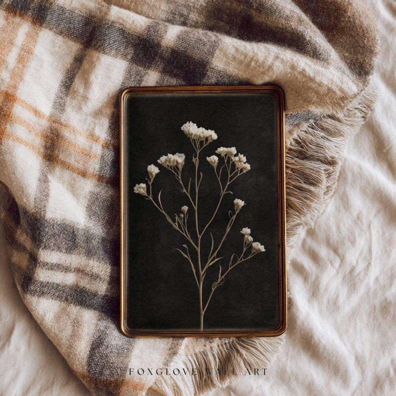 Dried Flower Stem Print: Muted Botanical Still Life, Dark Academia ...