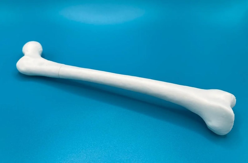 Femur Bone Pen & Optional Stand | 3D Printed Unique Anatomical Writing ...